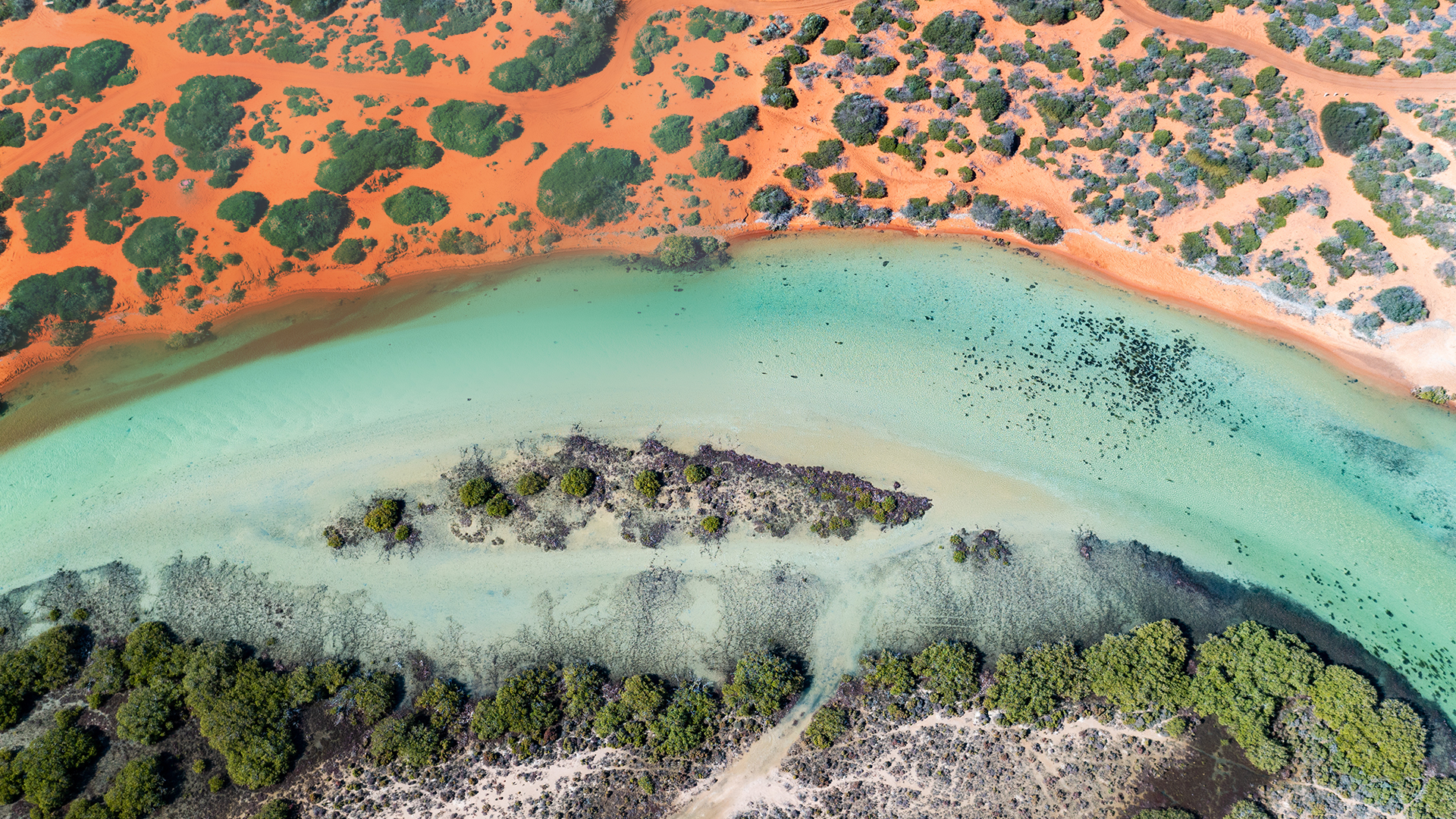 Pro Bono: Year in Review 2023 | Zimbabwe | Global law firm | Norton ...