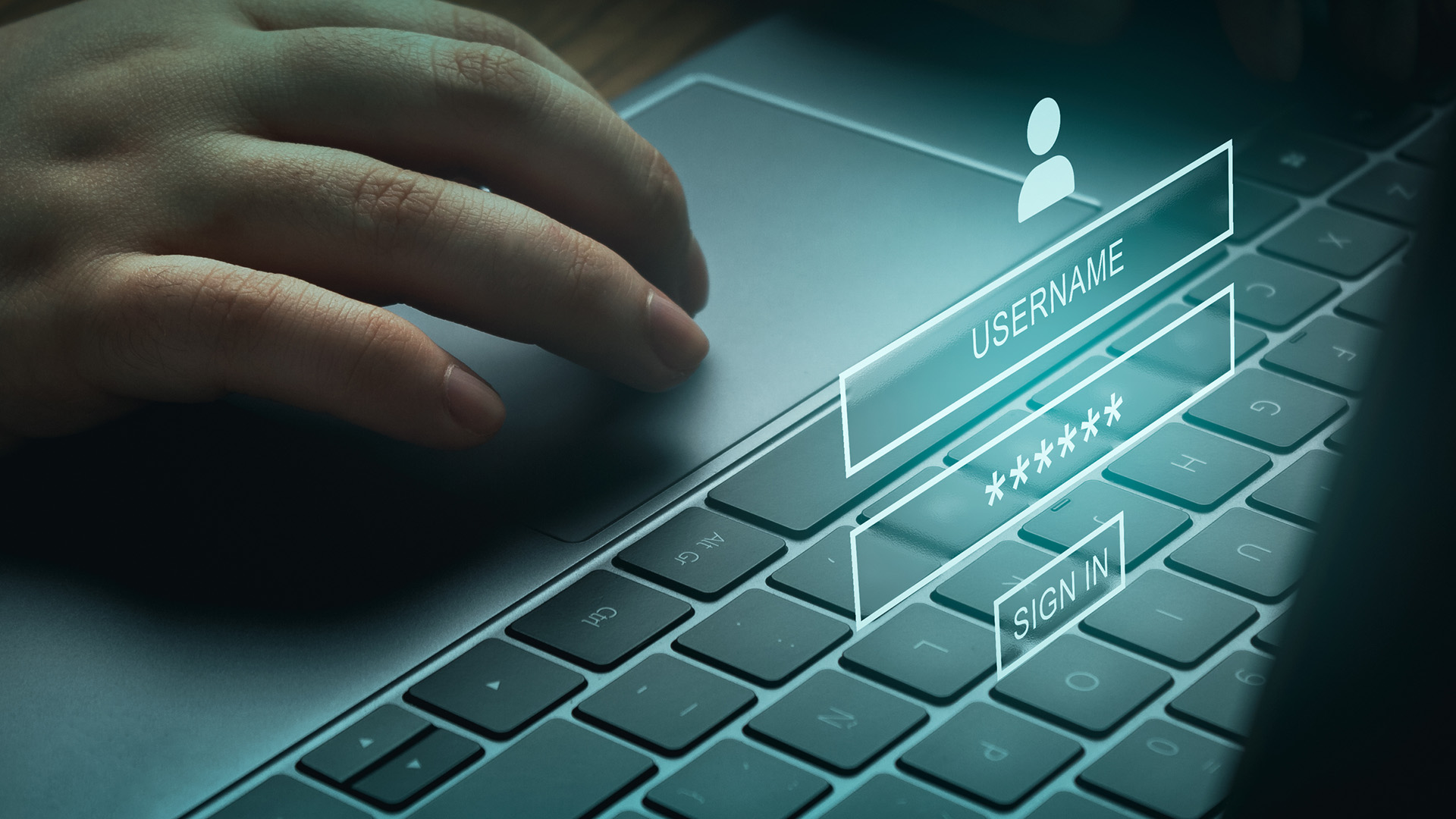 International Data Privacy Day: Unpacking recent significant ECJ ...