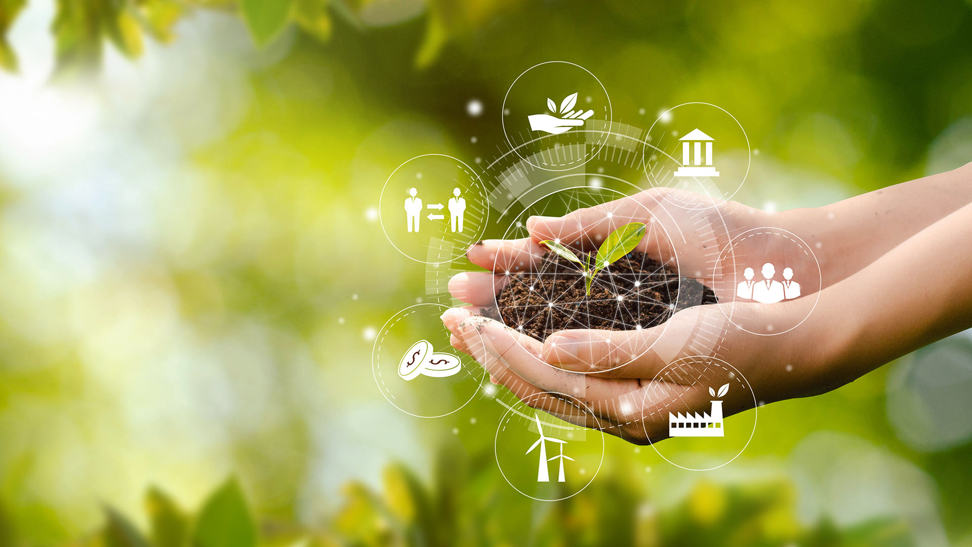 Global standards on sustainability and climate-related disclosure ...