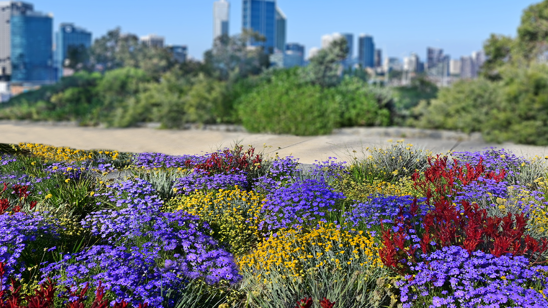 The Second stage of the EPBC Act reform is announced | Australia ...